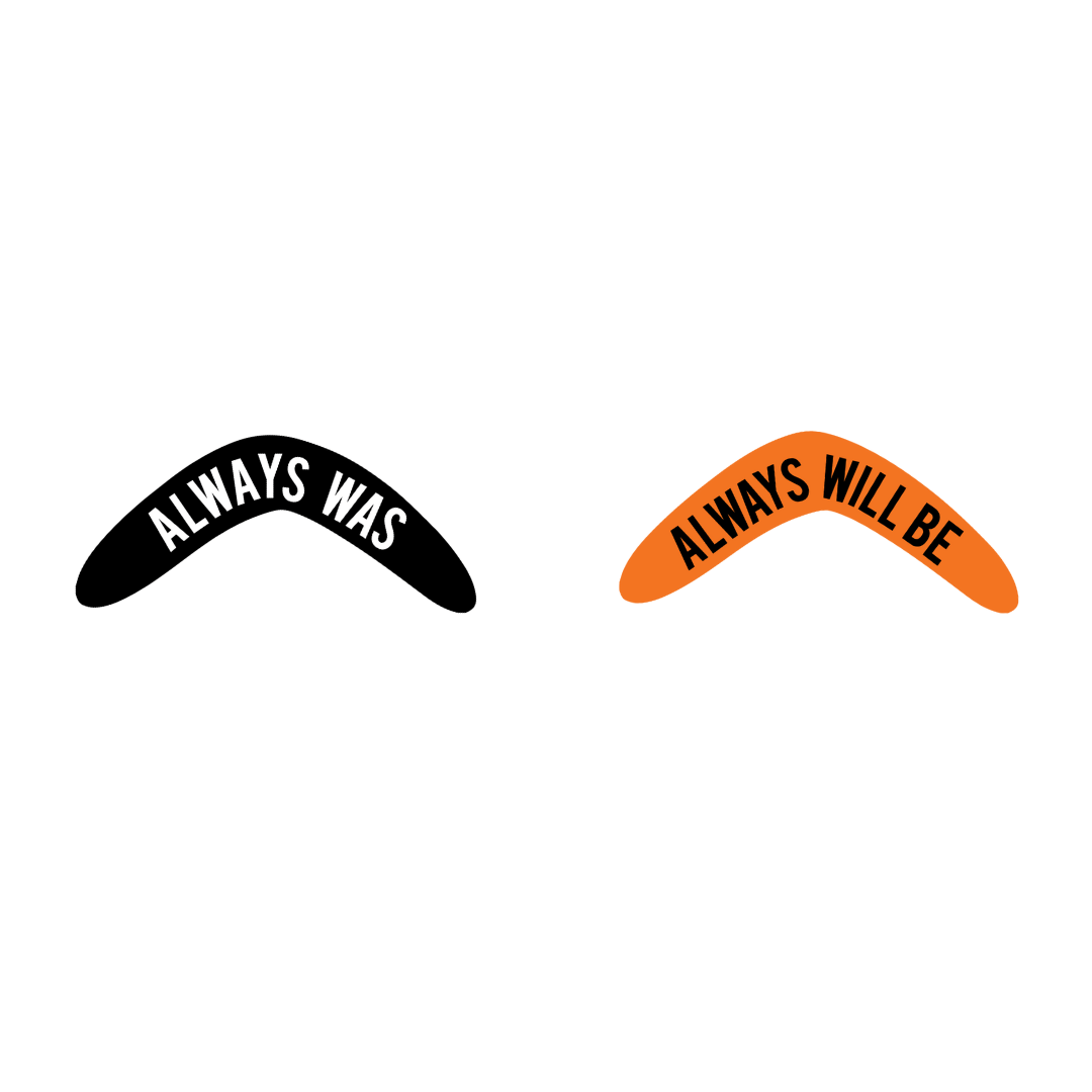 Haus of Dizzy Boomerang Studs - ALLY FRIENDLY